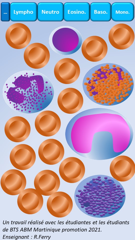 L’appli-Web pour apprendre à reconnaître les leucocytes ...