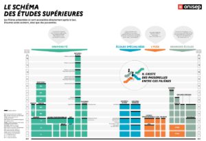 LE SCHEMA DES ETUDES SUPERIEURES – source ONISEP