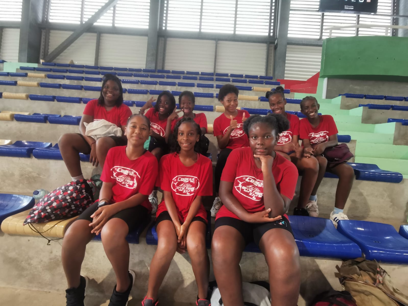 Collège de Basse-Pointe – Aimé Césaire | Un site utilisant Wordpress ...