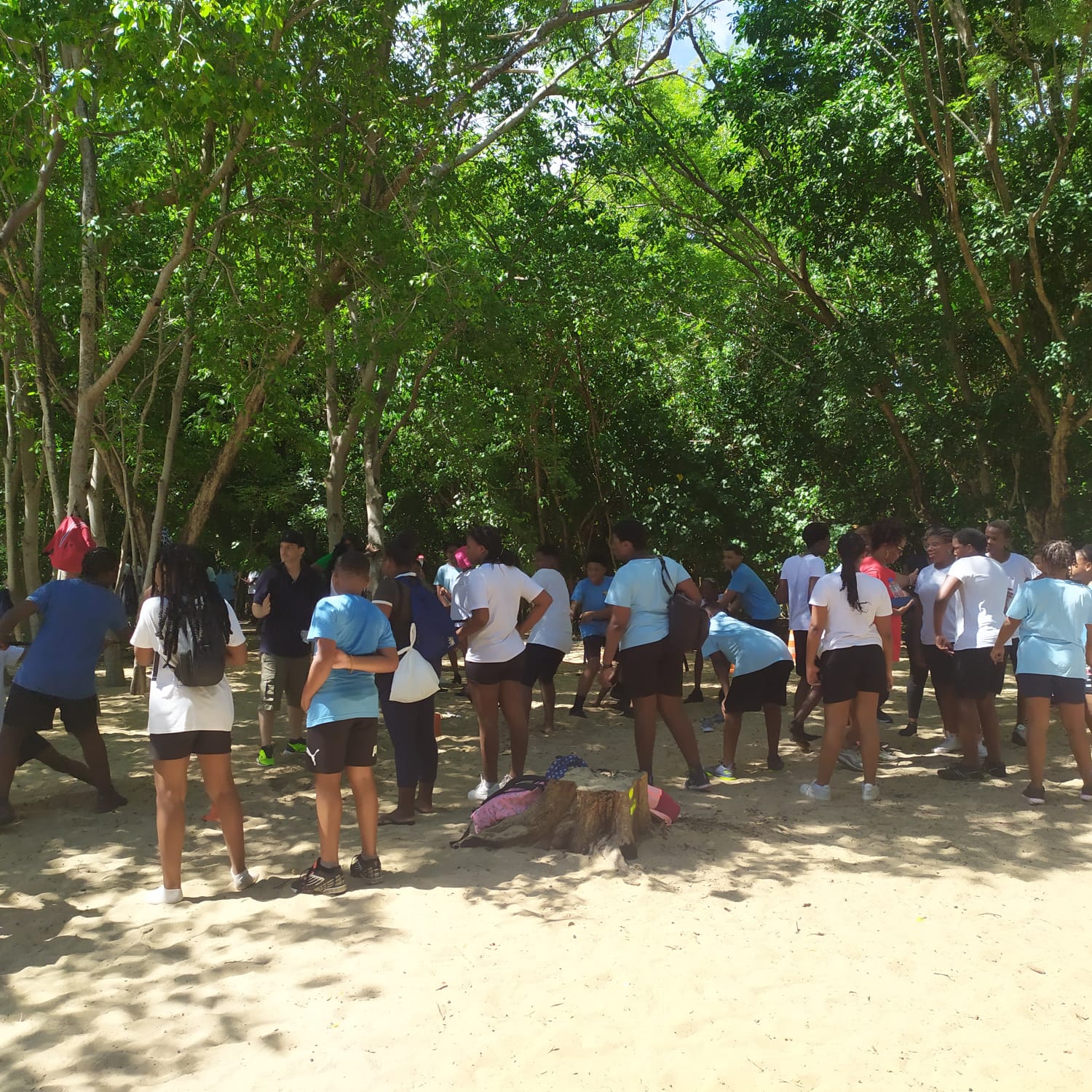 Collège Jenny ALPHA (ex Dillon 2)