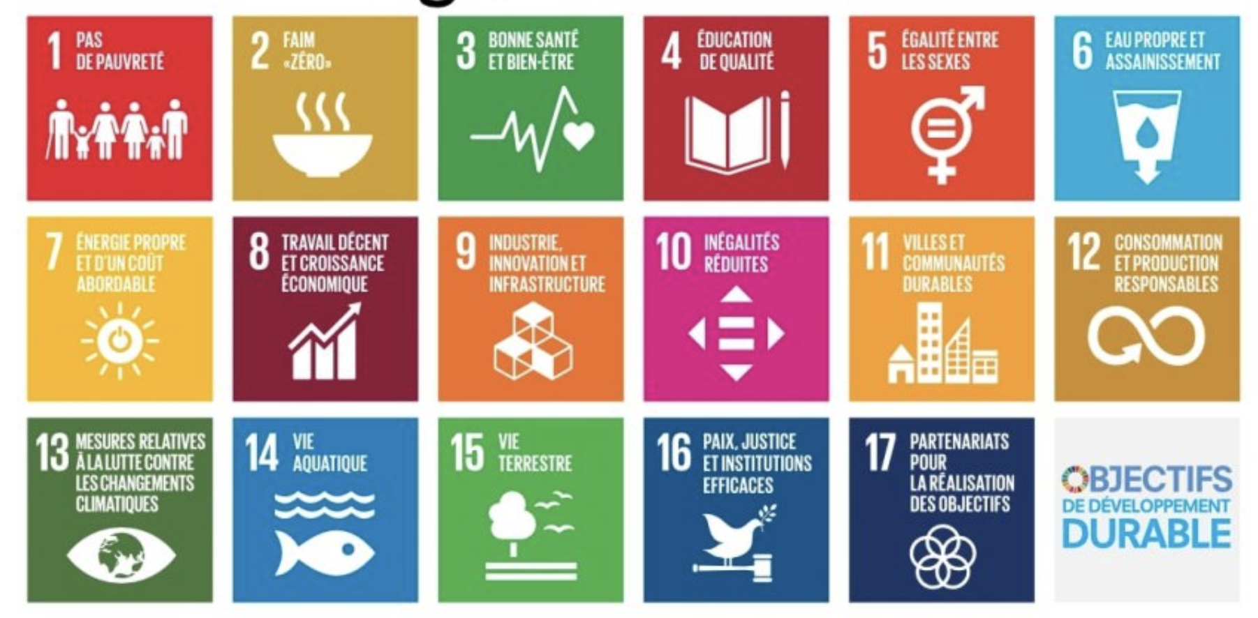 Les 17 ODD | EDD