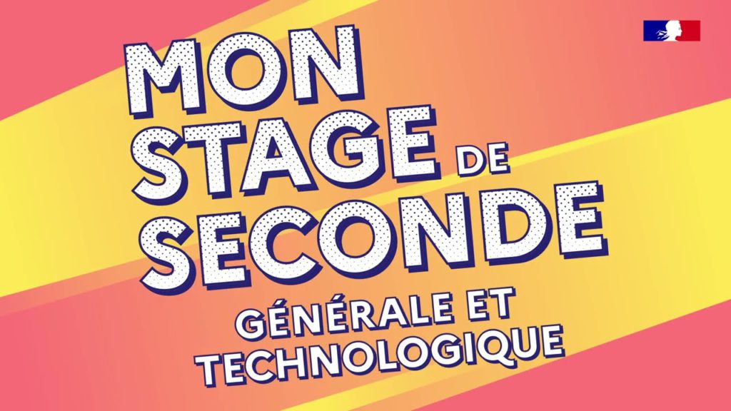 FAQ – Stage d’observation pour les élèves de seconde générale et technologique – Lycée Général ...